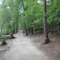 Krumme Lanke – See im Herzen der Grunewaldseenkette – Berlin & Teltow